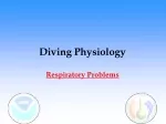 PPT - Diving Physiology PowerPoint Presentation, free download - ID:1016347