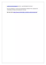 PPT - The Features Of Custom Solution Development Services PowerPoint ...