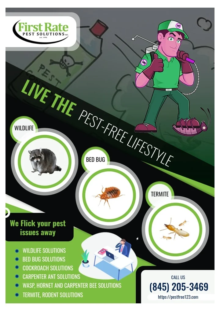 PPT - Exterminator Orange County | Bee Removal Orange County PowerPoint ...