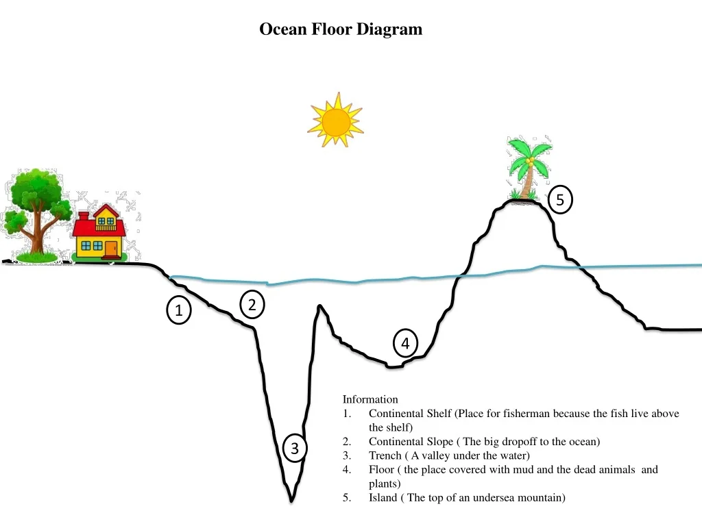 PPT - Ocean Floor Diagram PowerPoint Presentation, free download - ID ...