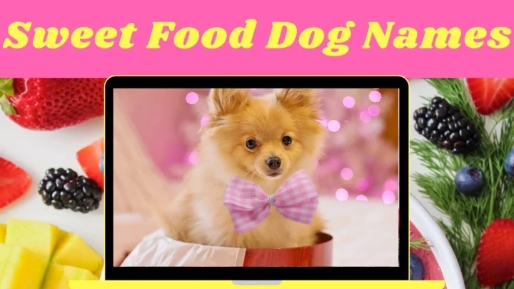 PPT - Top 20 Sweet Food Dog Names 2020 ! Cute Puppy Names ! Unique Dog ...