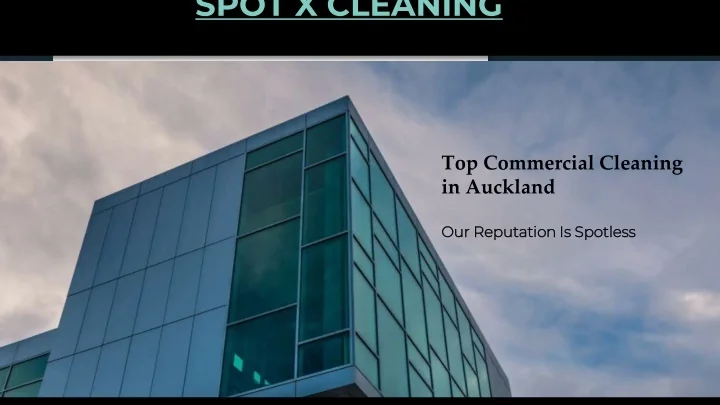 PPT - Spot X Cleaning PowerPoint Presentation, free download - ID:10352278