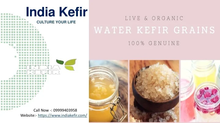 PPT - Milk Kefir in India | India Kefir PowerPoint Presentation, free ...