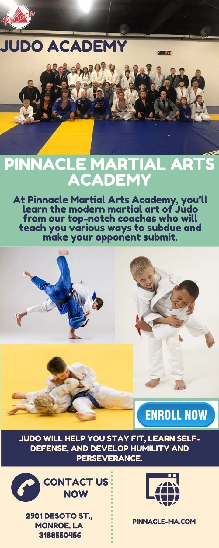 PPT - Judo Academy-Pinnacle Martial Arts Academy PowerPoint ...