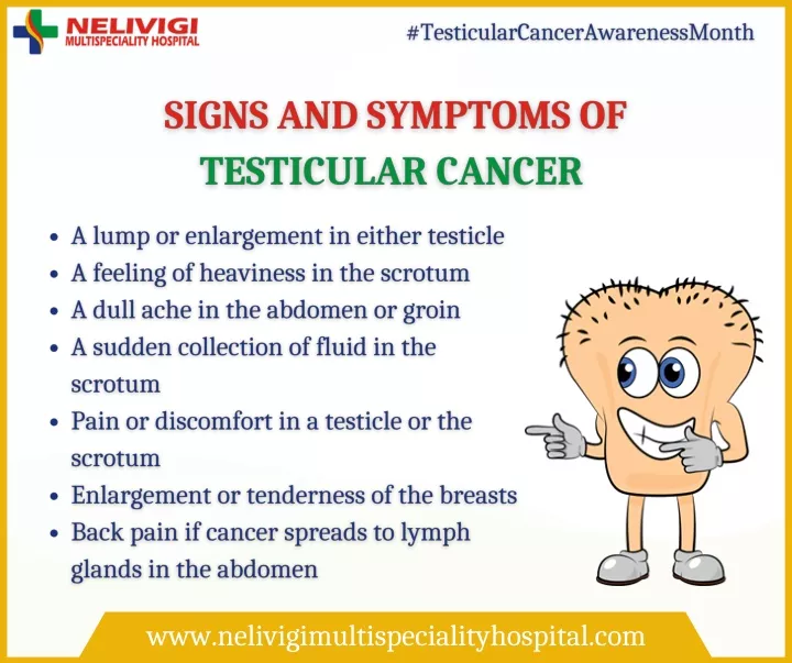 Ppt Symptoms Of Testicular Cancer Best Urology Hospitals In