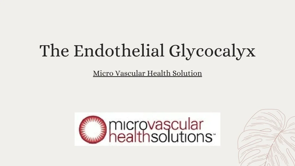 PPT - Endothelial Glycocalyx PowerPoint Presentation, free download ...