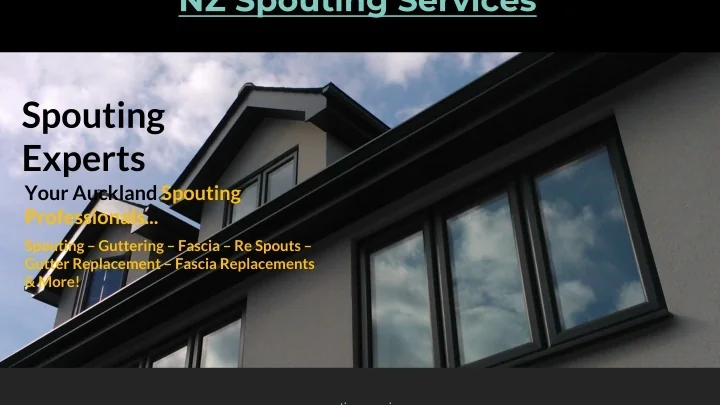 PPT - Nz Spouting (PPT) PowerPoint Presentation, free download - ID ...