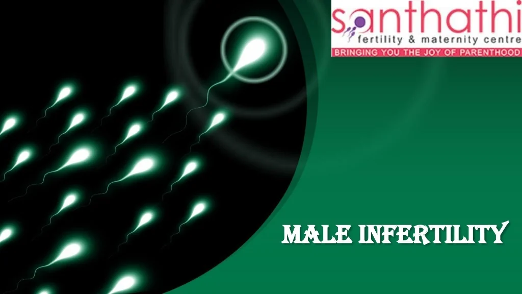 PPT - Male Infertility PowerPoint Presentation, free download - ID:10520112