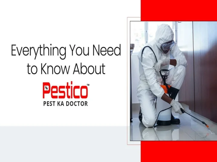 PPT - Everything You Need to Know About PESTICO PowerPoint Presentation ...