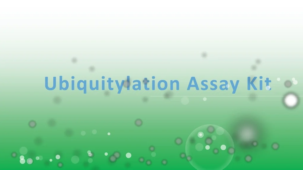 PPT - Ubiquitylation Assay Kit PowerPoint Presentation, free download ...