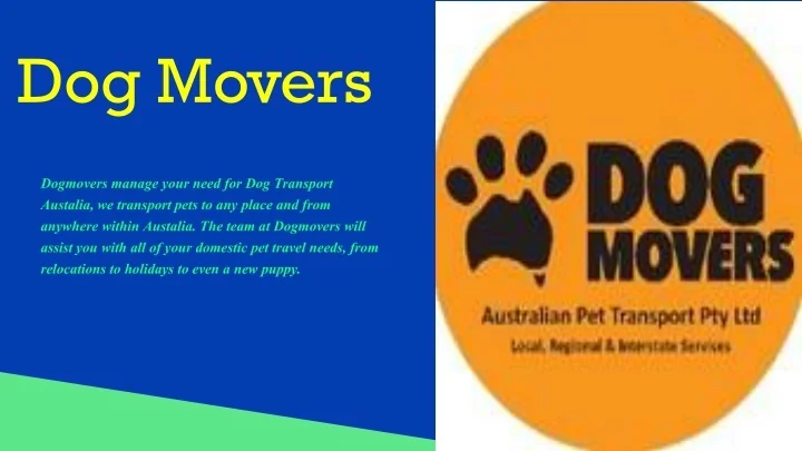 PPT - Get To Know Pet Transport In Australia PowerPoint Presentation ...