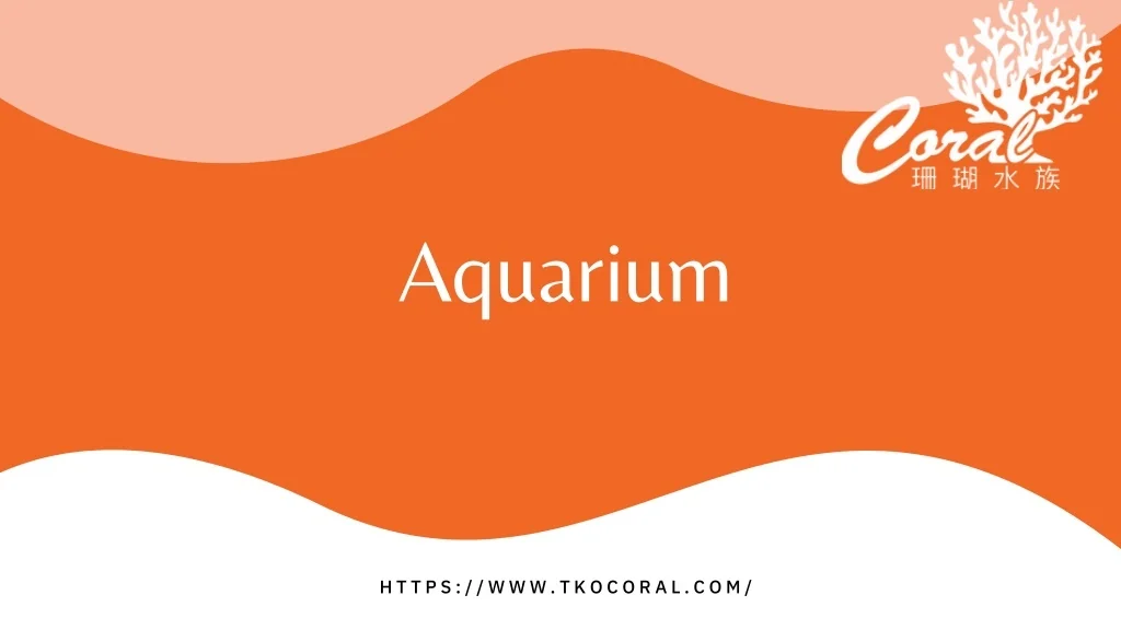 PPT - Aquarium PowerPoint Presentation, free download - ID:10664850