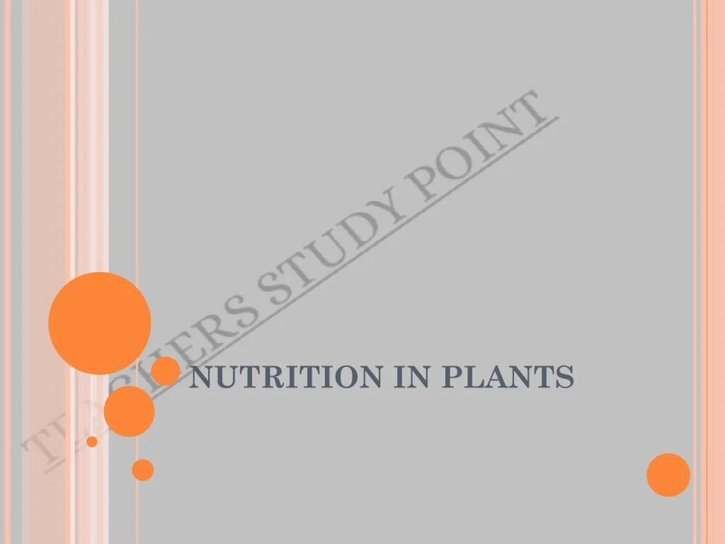 PPT - NUTRITION IN PLANTS PowerPoint Presentation, free download - ID ...
