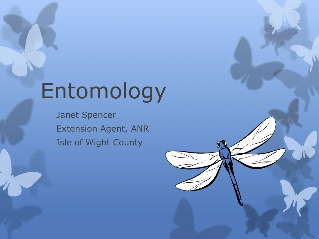 PPT - entomology PowerPoint Presentation, free download - ID:10691405