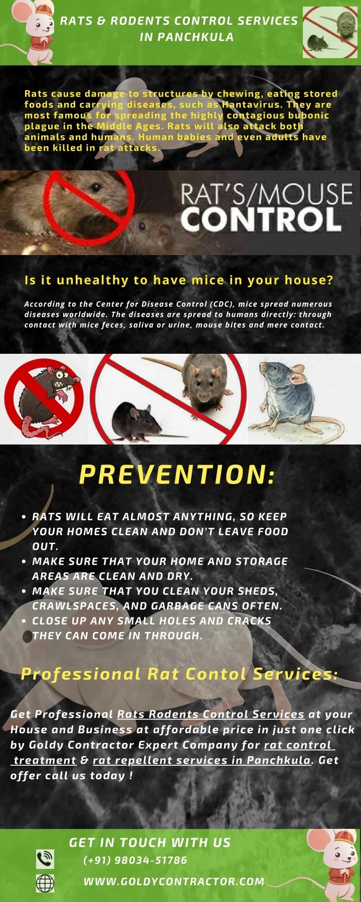 PPT - Rodent Control Services In Panchkula PowerPoint Presentation ...