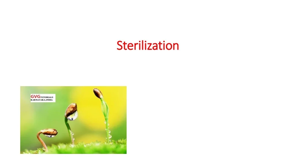 PPT - Sterilization PowerPoint Presentation, free download - ID:10807825