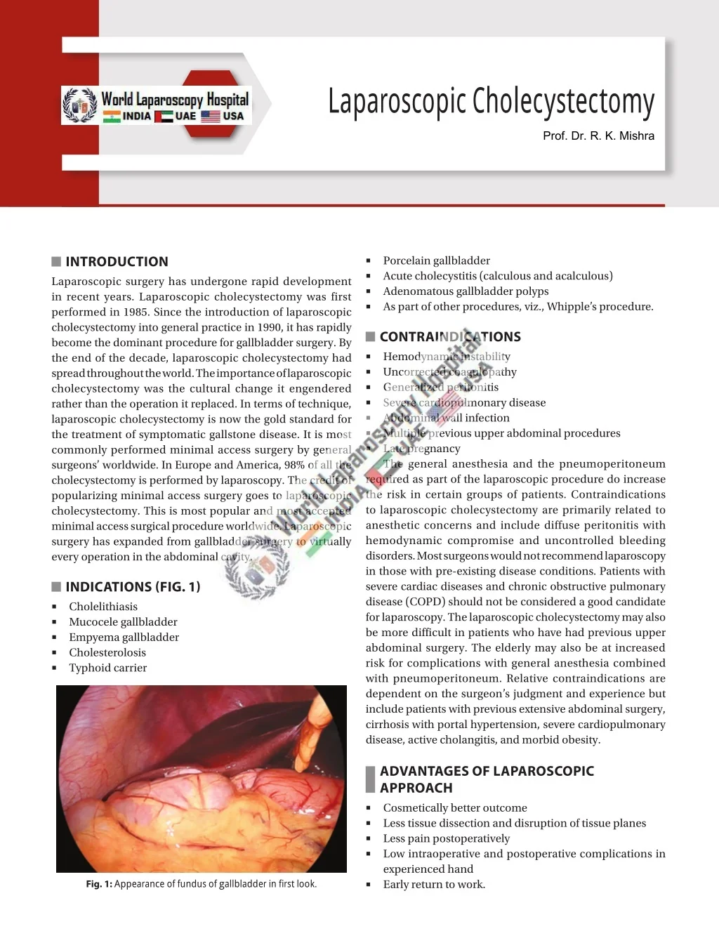 PPT - Laparoscopic Cholecystectomy PowerPoint Presentation, free ...