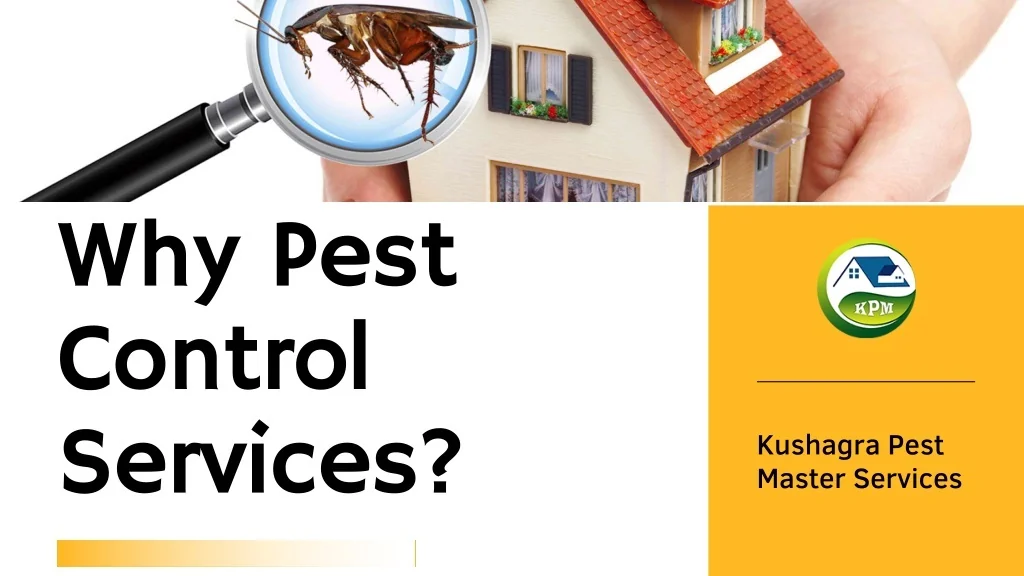 PPT - Why Pest Control Services PowerPoint Presentation, free download ...