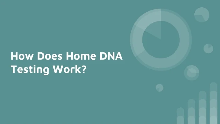 PPT - How Does Home DNA Testing Work? PowerPoint Presentation, free ...