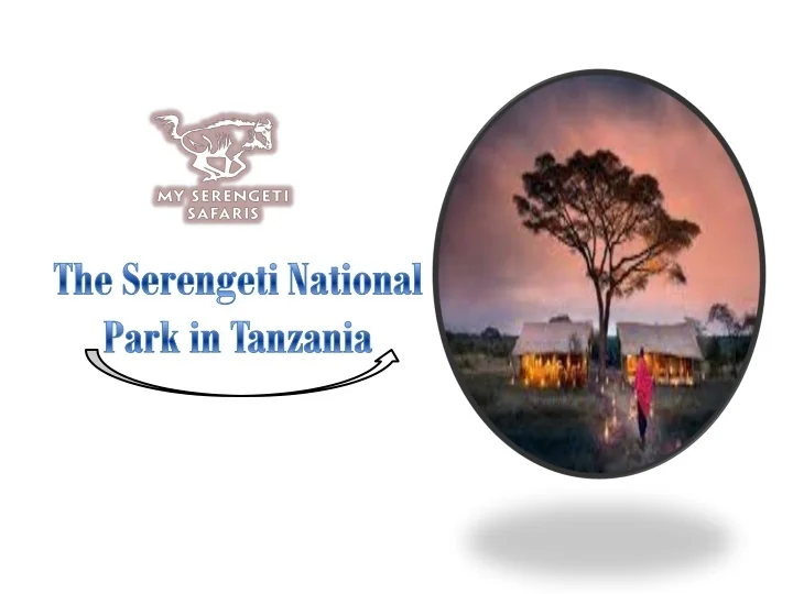 PPT - The Serengeti National Park in Tanzania PowerPoint Presentation ...