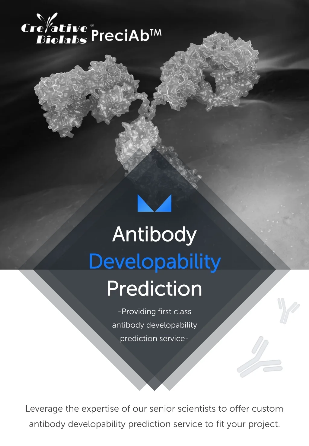 PPT - Antibody-Developability-Prediction PowerPoint Presentation, free ...