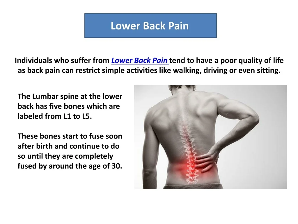 PPT - Lower back pain PowerPoint Presentation, free download - ID:10965151