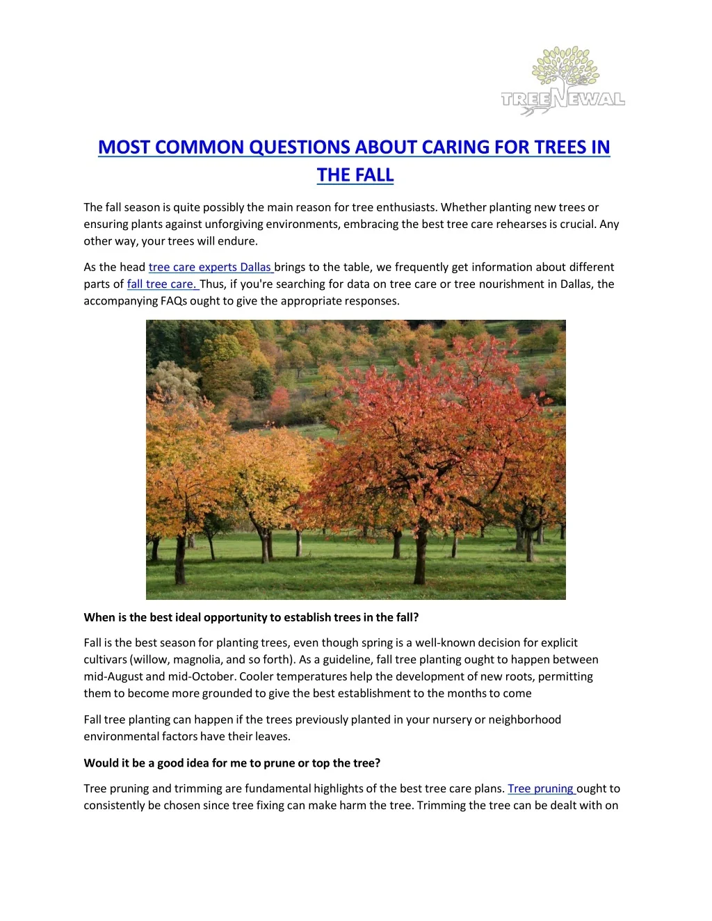 PPT - MOST COMMON QUESTIONS ABOUT CARING FOR TREES IN THE FALL ...