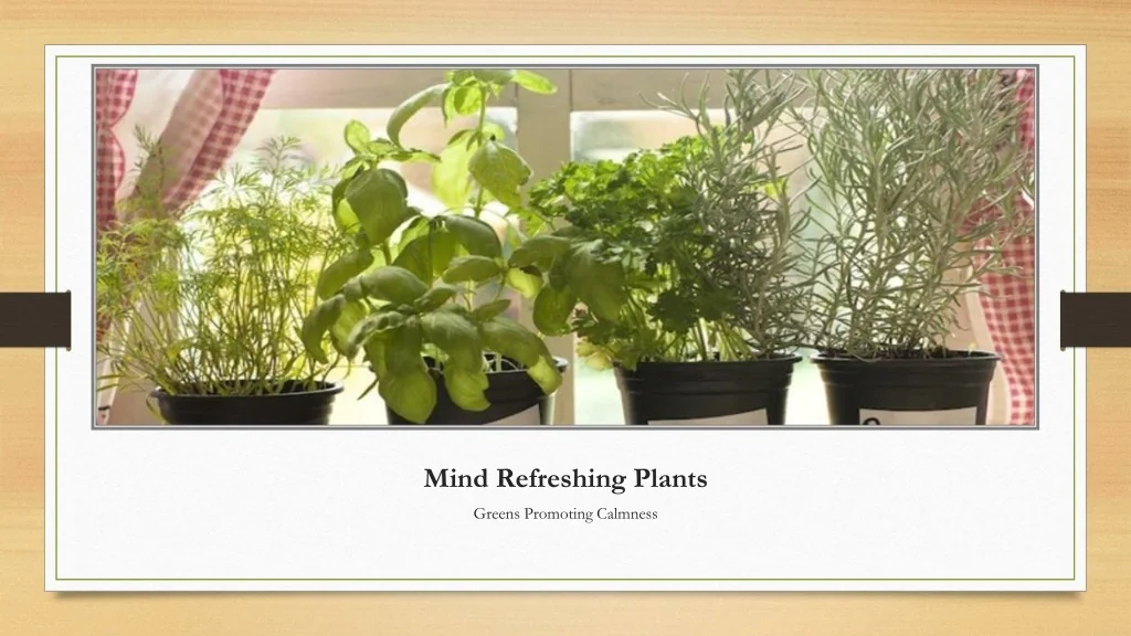 PPT - Mind Refreshing Plants PowerPoint Presentation, free download ...