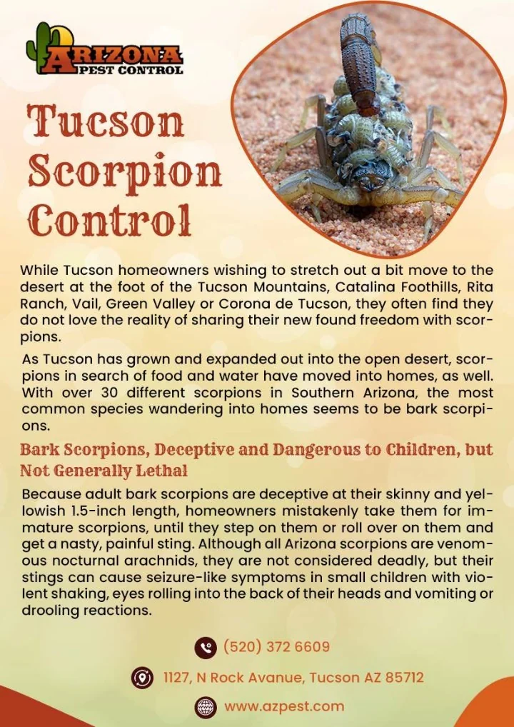 PPT - Desert pest control tucson | Rodent & Pack Rat Control tucson ...