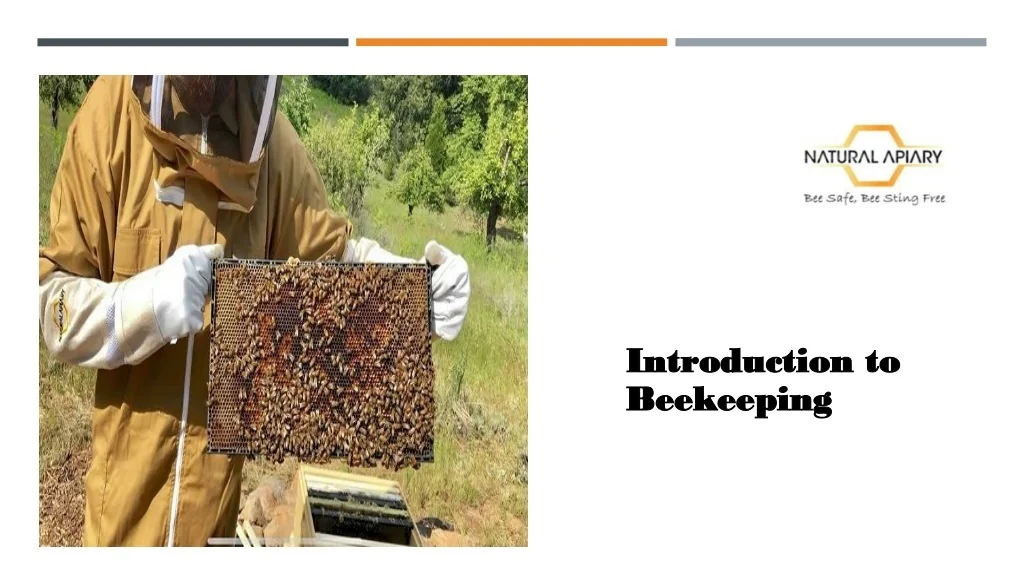 PPT - Introduction to Beekeeping PowerPoint Presentation, free download ...