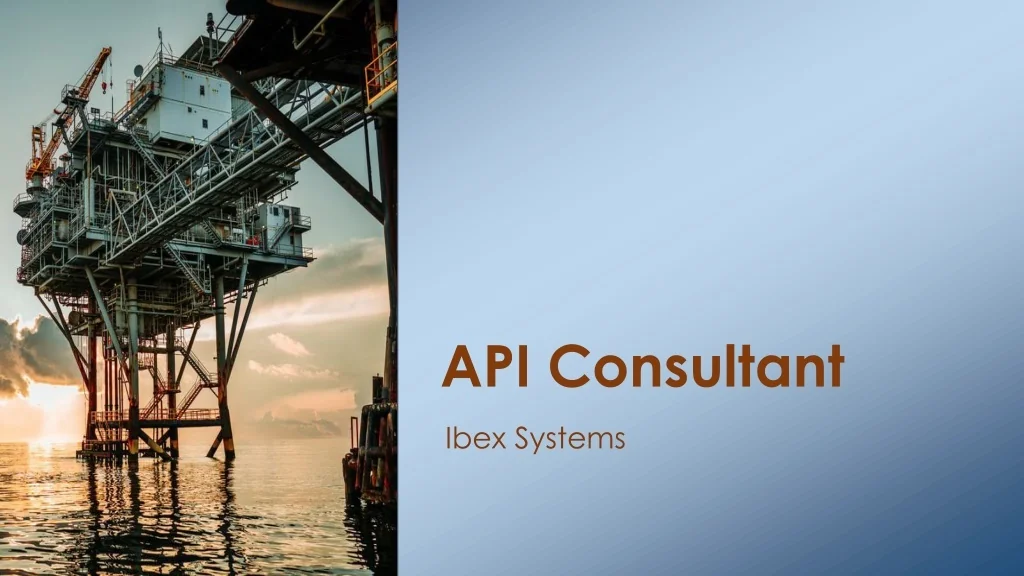 PPT - API Consultant PowerPoint Presentation, free download - ID:11094110