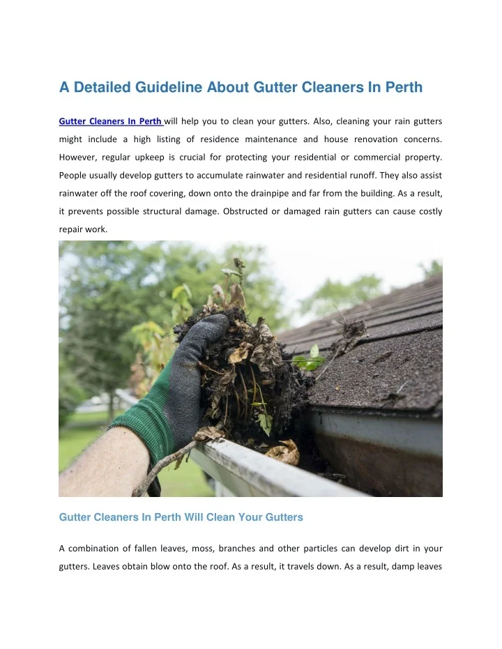 PPT - One Of The Best Gutter Cleaners In Perth - Quality Work ...