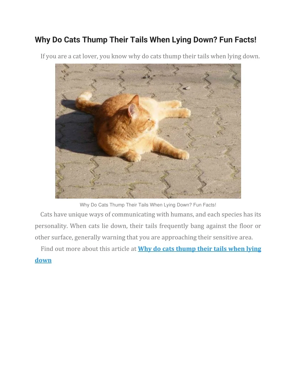 PPT - Why Do Cats Thump Their Tails When Lying Down PowerPoint ...