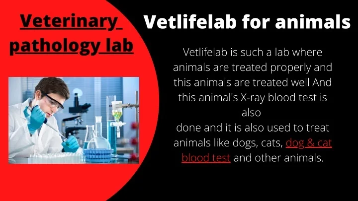 PPT - Veterinary diagnostic lab Delhi | Veterinary pathology lab ...