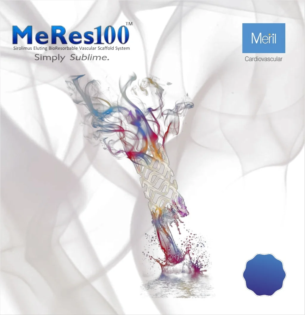 PPT - MERES100 A Bioresorbable Vascular Scaffold System Invented by ...