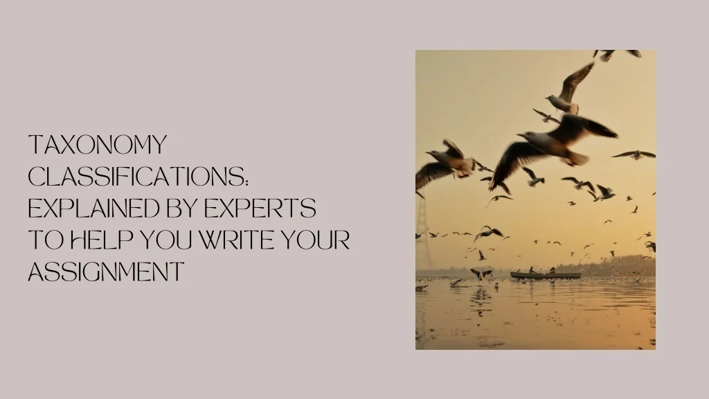 PPT - Taxonomy classifications Explained by experts to help you write ...