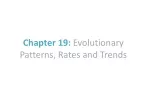 PPT - Evolutionary Patterns, Rates, and Trends PowerPoint Presentation ...