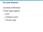 PPT - The Axial Age PowerPoint Presentation, free download - ID:742000