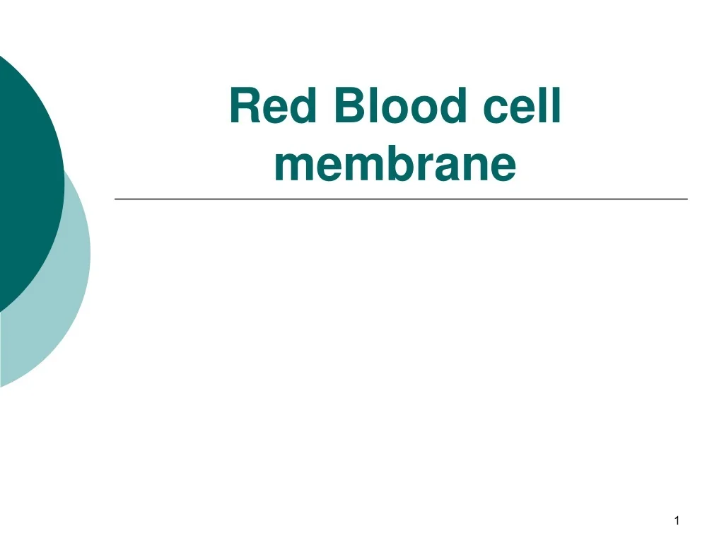 PPT - Red Blood cell membrane PowerPoint Presentation, free download ...