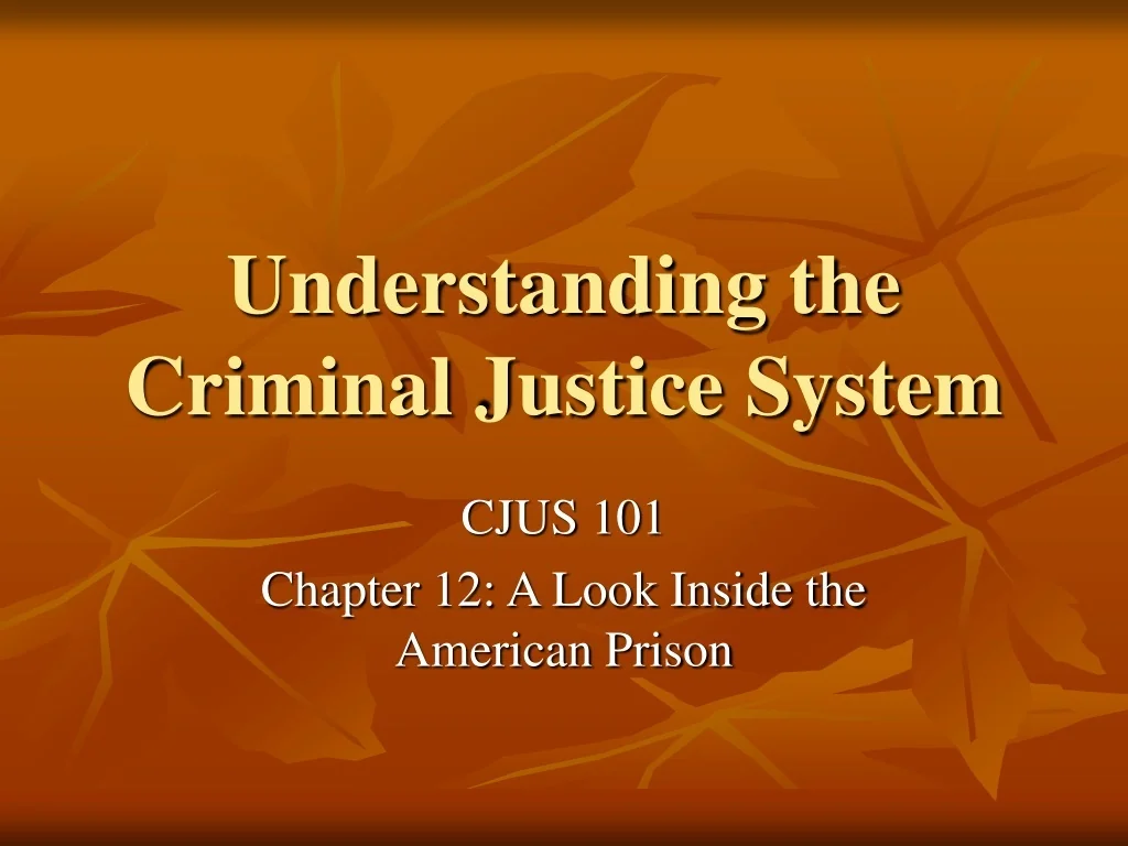 PPT - Insight into American Prison System: Challenges and Solutions ...