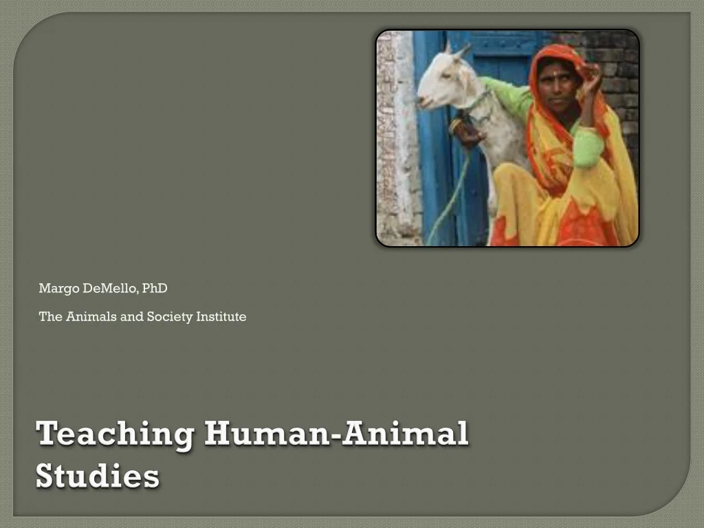 PPT - Teaching Human-Animal Studies PowerPoint Presentation, free ...
