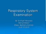 PPT - Respiratory Examination PowerPoint Presentation, free download ...