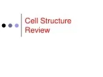 PPT - Cell Structure Review and Introduction to DNA PowerPoint ...