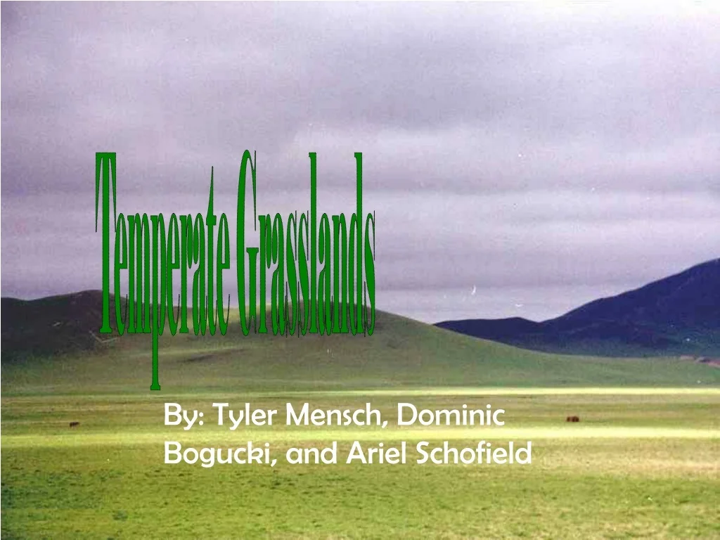 PPT - Temperate Grasslands PowerPoint Presentation, free download - ID ...