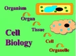 PPT - MANUAL on ALERT ORGANISM SURVEILLANCE PowerPoint Presentation ...