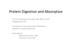 PPT - Physiology of Digestion and Absorption 2 PowerPoint Presentation ...