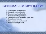 PPT - GENERAL EMBRYOLOGY PowerPoint Presentation, free download - ID:240085