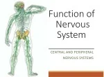 PPT - Integrative Function of the Nervous System PowerPoint ...