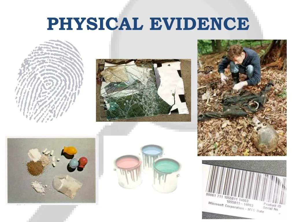 PPT - PHYSICAL EVIDENCE PowerPoint Presentation, free download - ID:9299479