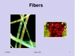 PPT - Introduction to Fibers PowerPoint Presentation, free download ...